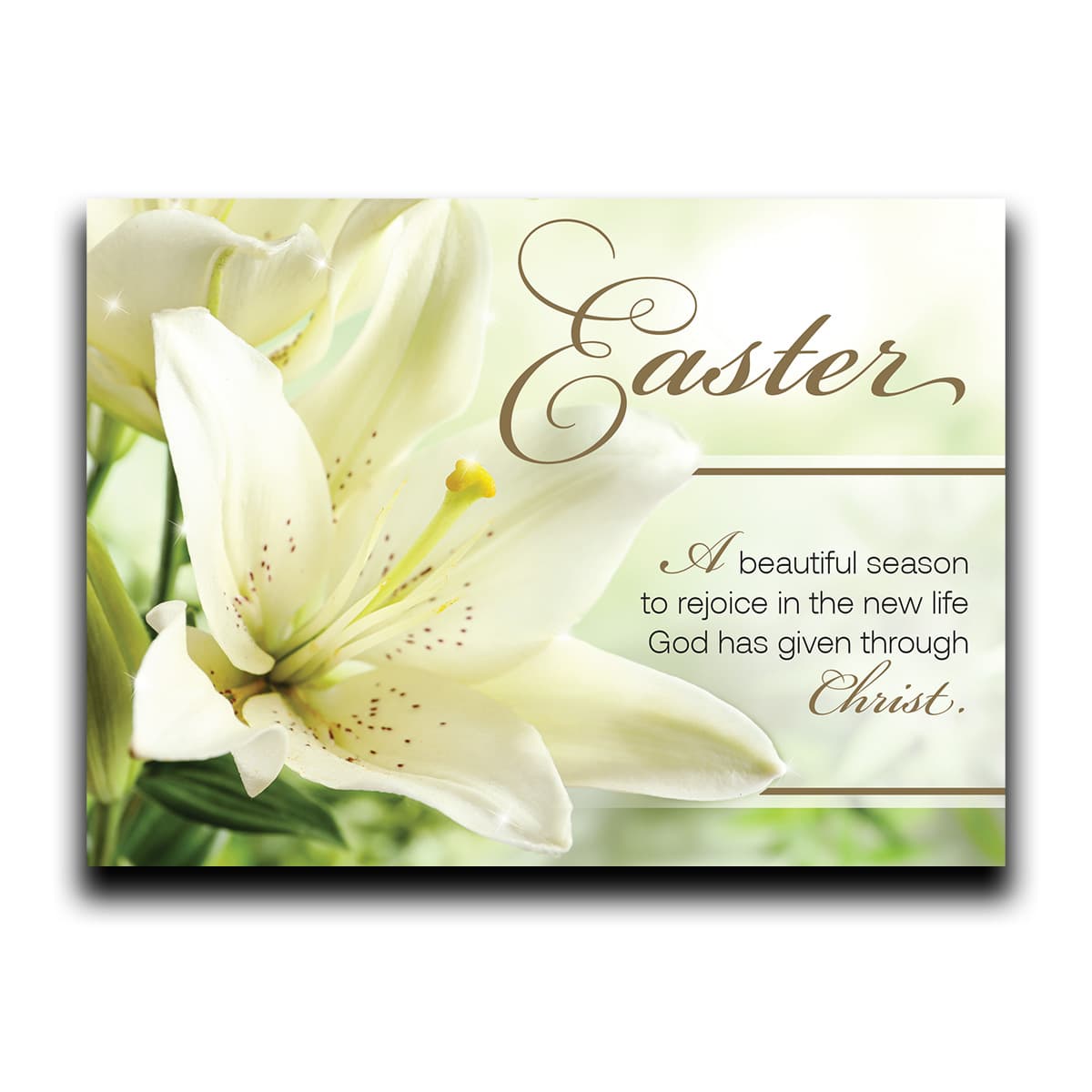 Easter Novena and Cards - Society of the Little Flower - US